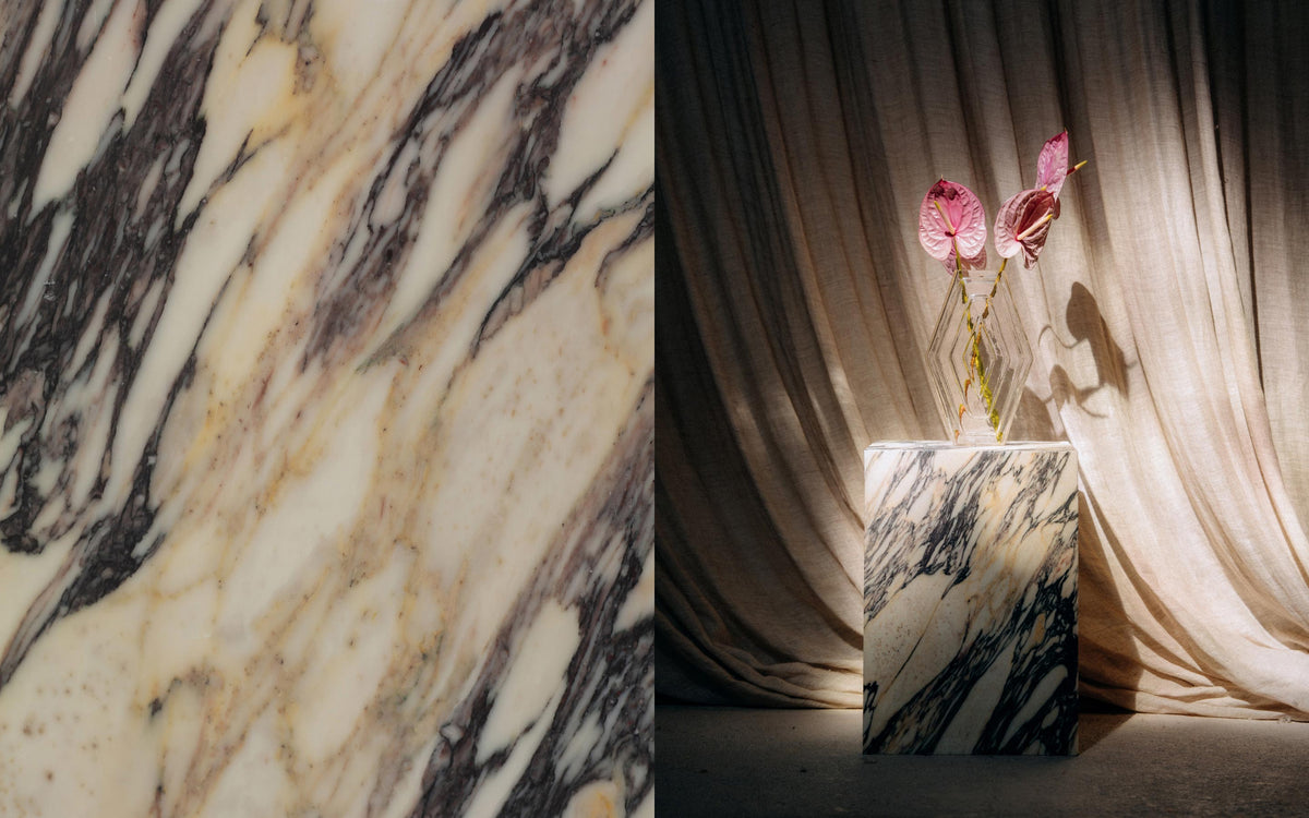 Discover the collection of Set in Stone